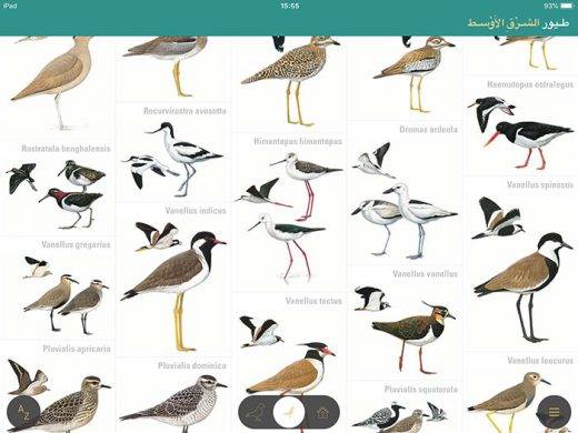 The Arabic App of Birds of the Middle East – Ornithological Society Of ...