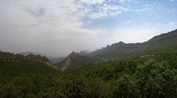 Funding conservation projects: a voice for biodiversity in Iraq