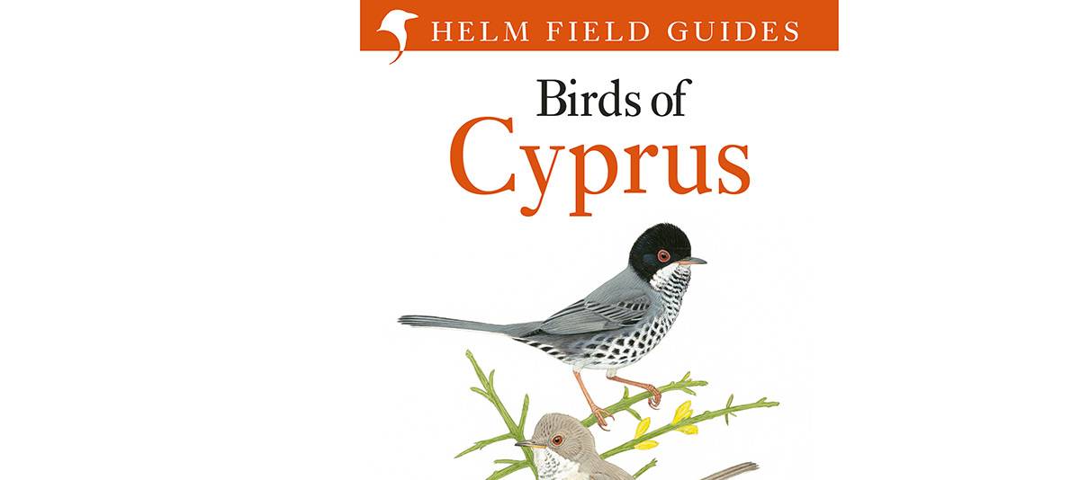 Birds of Cyprus