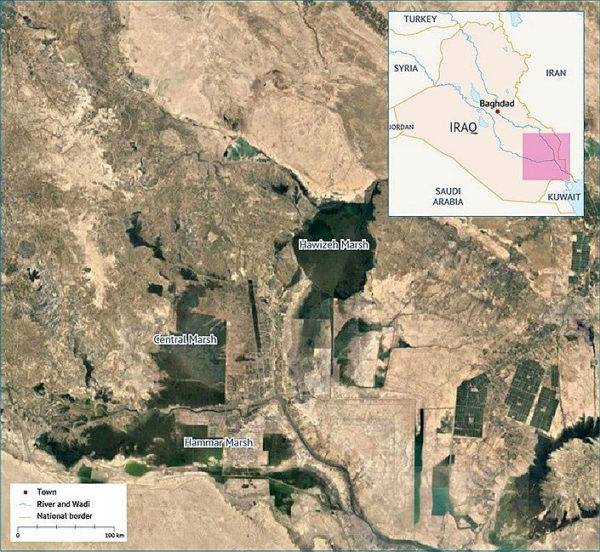 The southern marshes of Iraq – Ornithological Society Of The Middle ...