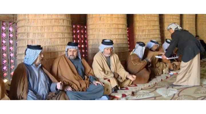 The southern marshes of Iraq – Ornithological Society Of The Middle ...