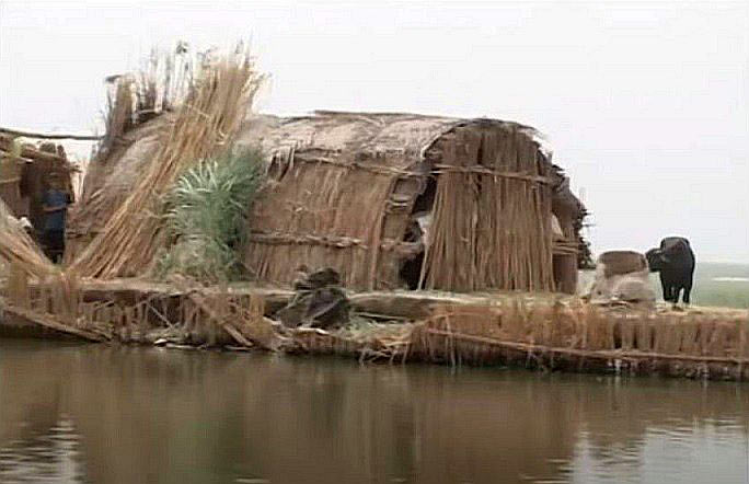 The southern marshes of Iraq