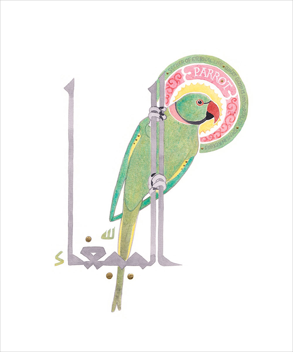 Conference of the Birds – Ornithological Society Of The Middle East The ...