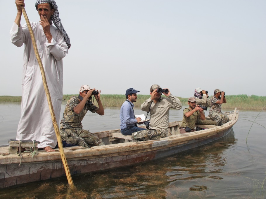 Nature Iraq – 20 years on – Ornithological Society Of The Middle East ...
