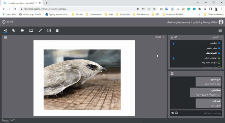 Swift Conservation in Iran: educating the public