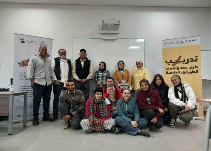 Training on “Raptor Identification and migration count”, Galala, Egypt ...