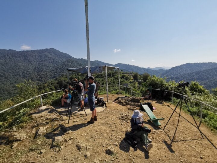A glimpse into the Batumi Raptor Count of 2023 – Ornithological Society ...