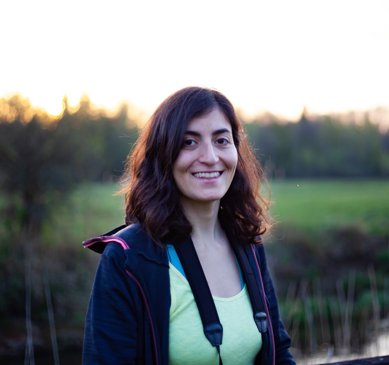 Signs-of-Shearwaters-Breeding-image014 – Ornithological Society Of The ...