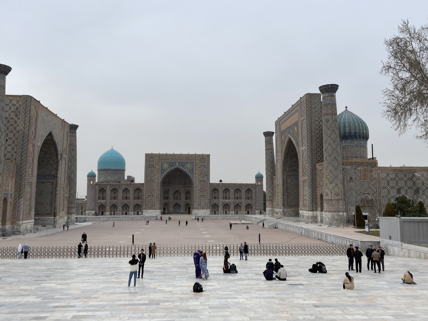 OSME at the CMS COP in Samarkand, Uzbekistan, 12-17 February 2024 ...