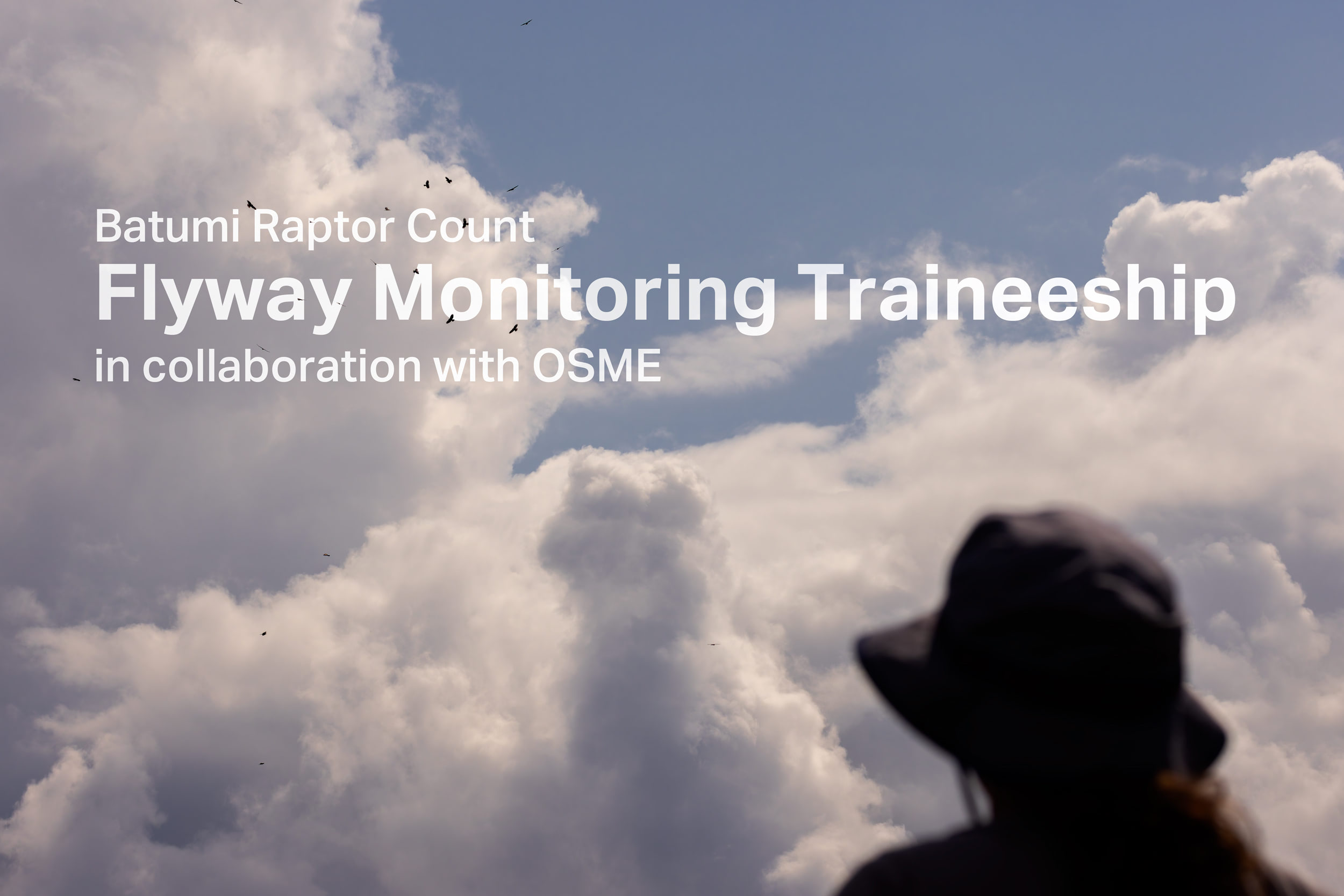 A new Flyway Monitoring Traineeship at Batumi in collaboration with OSME