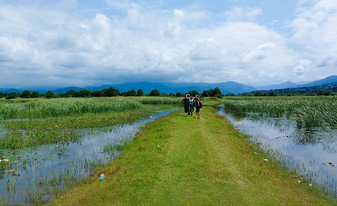 The Chorokhi Delta: A deathly trap for migratory birds along the ...