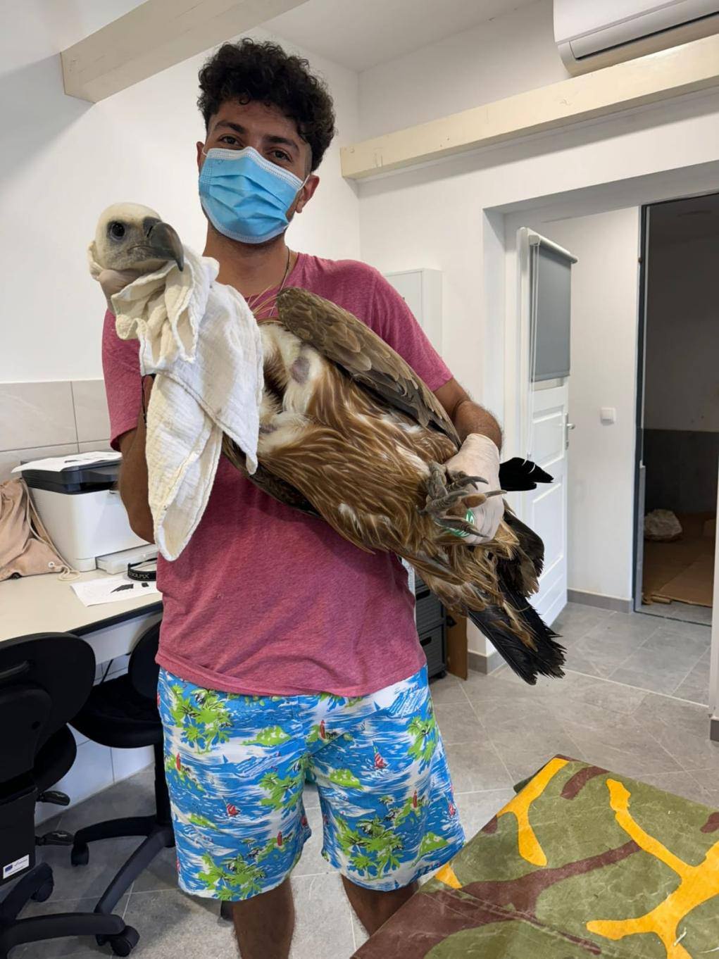 Learning in depth bird conservation by volunteering in Birdlife ...
