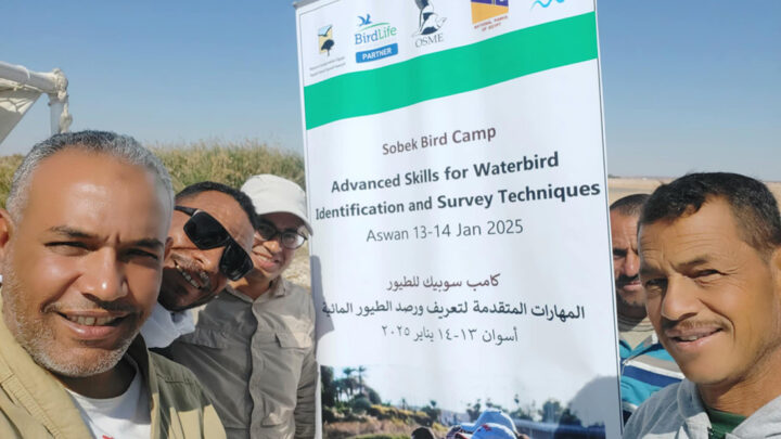 Hobbyist to Pro: how OSME bird training courses transformed my ...