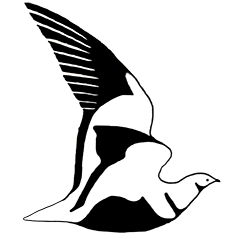 November 2025 – Ornithological Society Of The Middle East The Caucasus ...